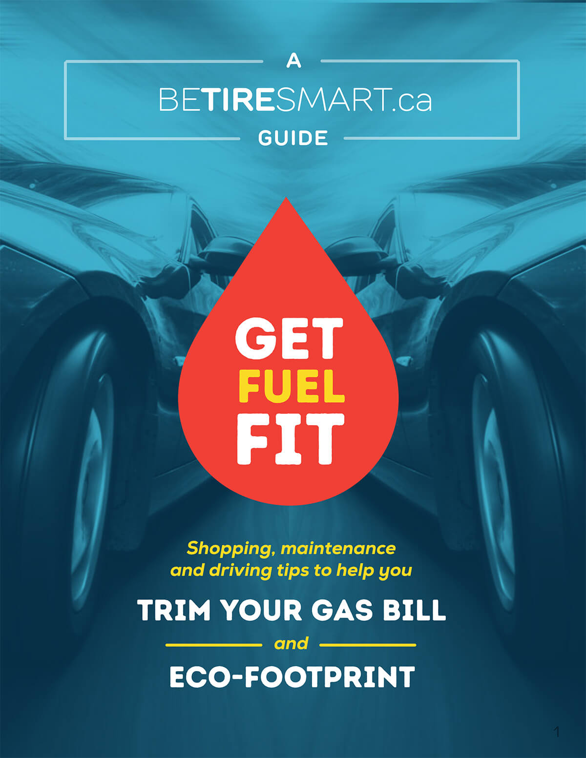 Get Fuel Fit - Tire and Auto Care Blog - Ontario - Active Green + Ross ...
